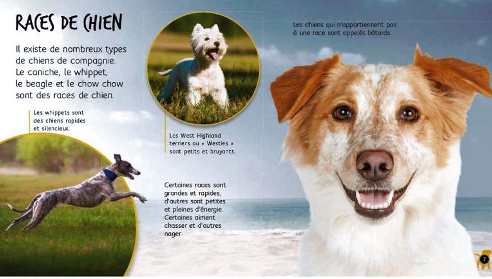 Buy Cycles de vie - Du chiot au chien Online | World Of Reading