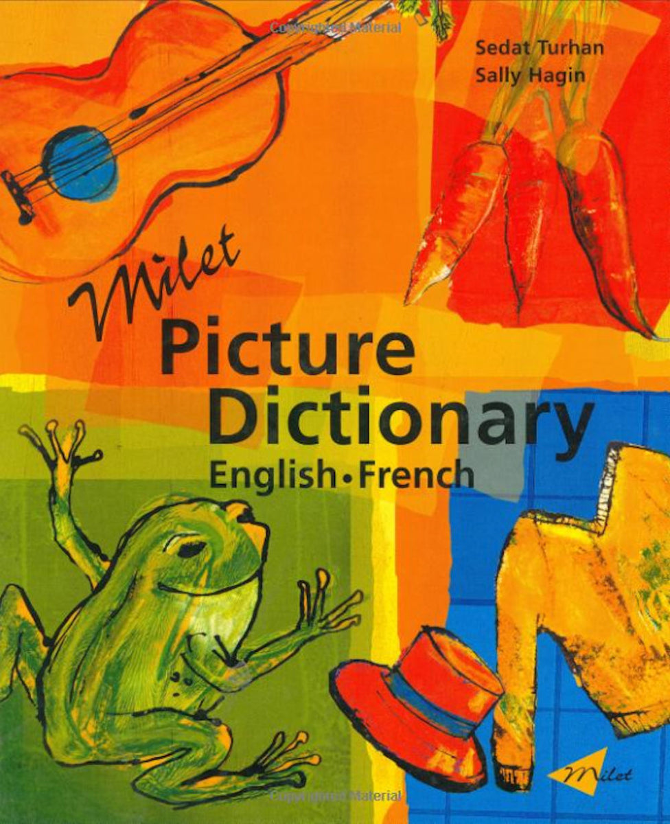 Buy Milet Picture Dictionary - English-French Online | World Of Reading